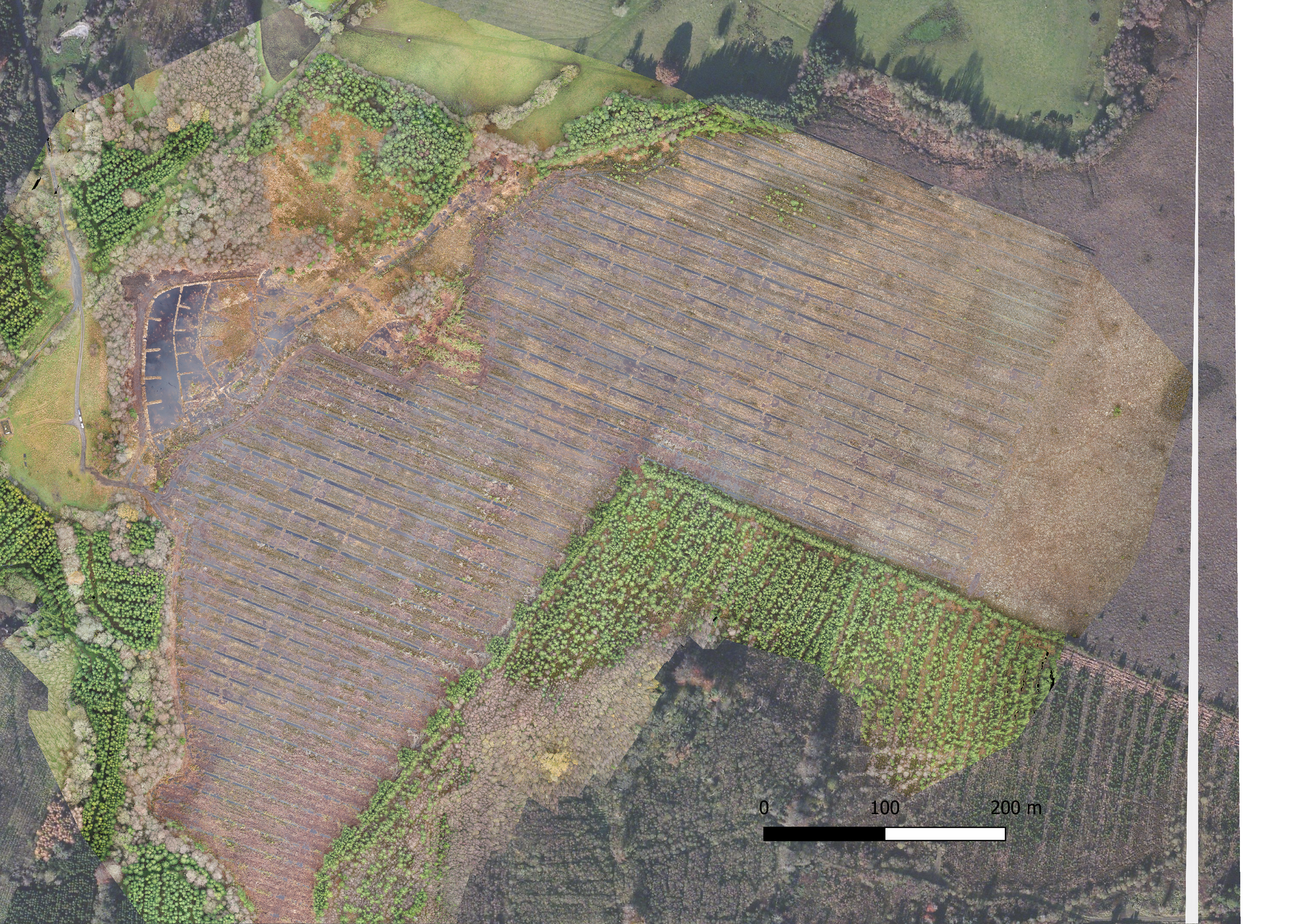 Care-Peat - Carbon loss reduction from peatlands: an integrated ...