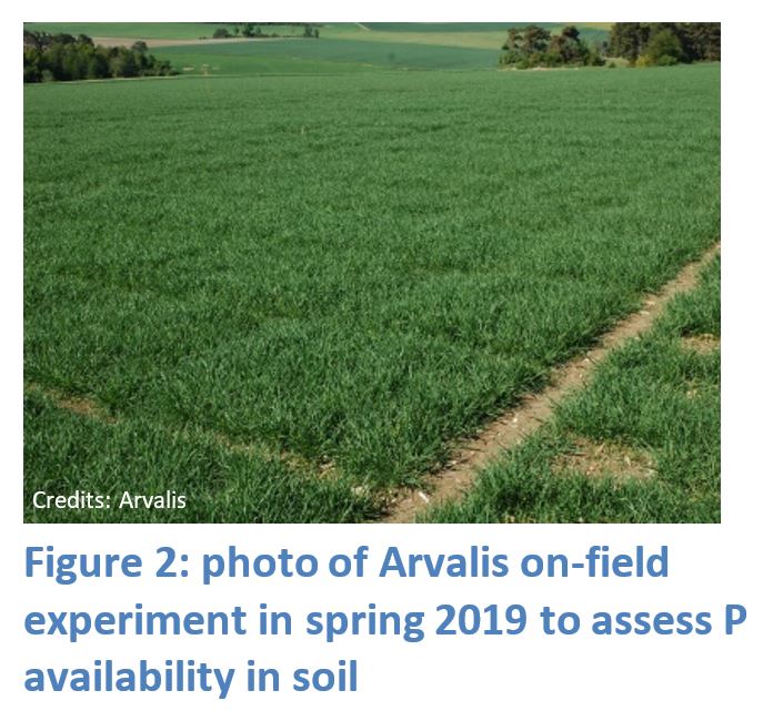 Phosphorus availability in soil, stepping stone to standardise ...